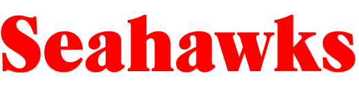 Seattle Seahawks font download - Famous Fonts